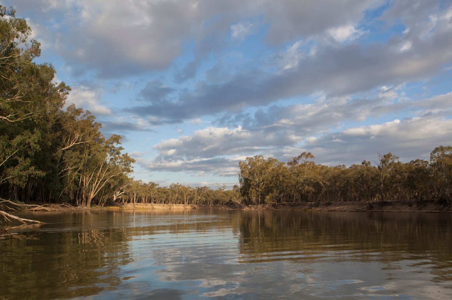 For too long politics has sidelined law and science in protecting the ...