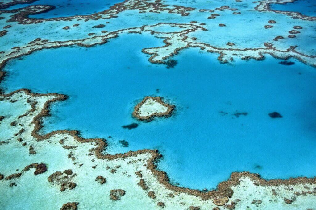 Legal intervention to Woodside's Browse gas project - Environmental ...