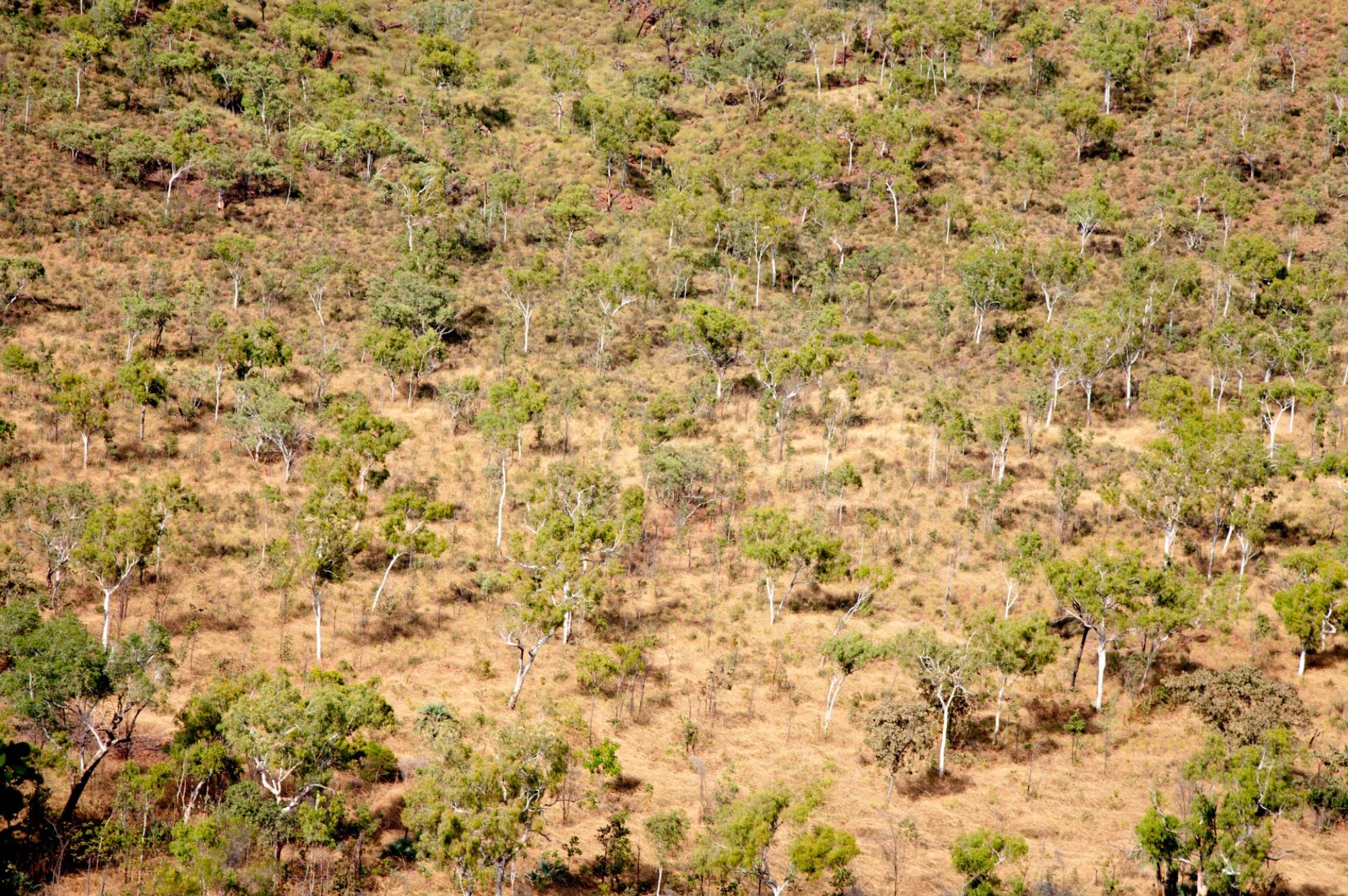 Submission to the Review of the Northern Australia Infrastructure ...