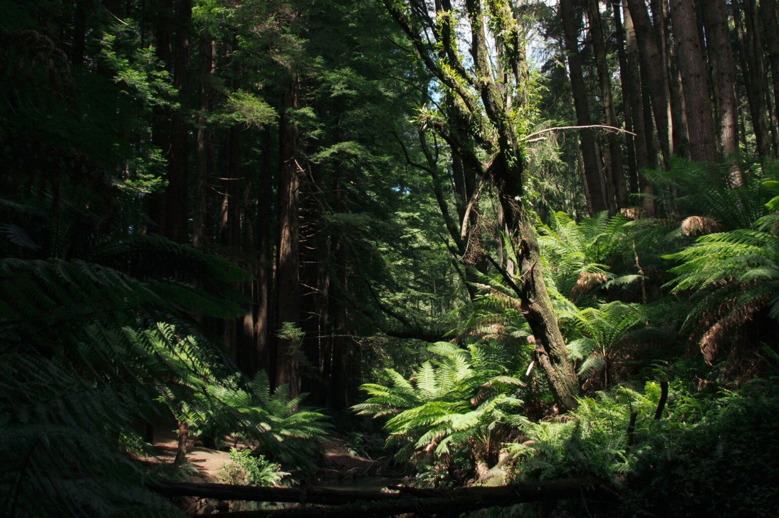 It’s time to get our new environment laws right - Environmental Justice ...