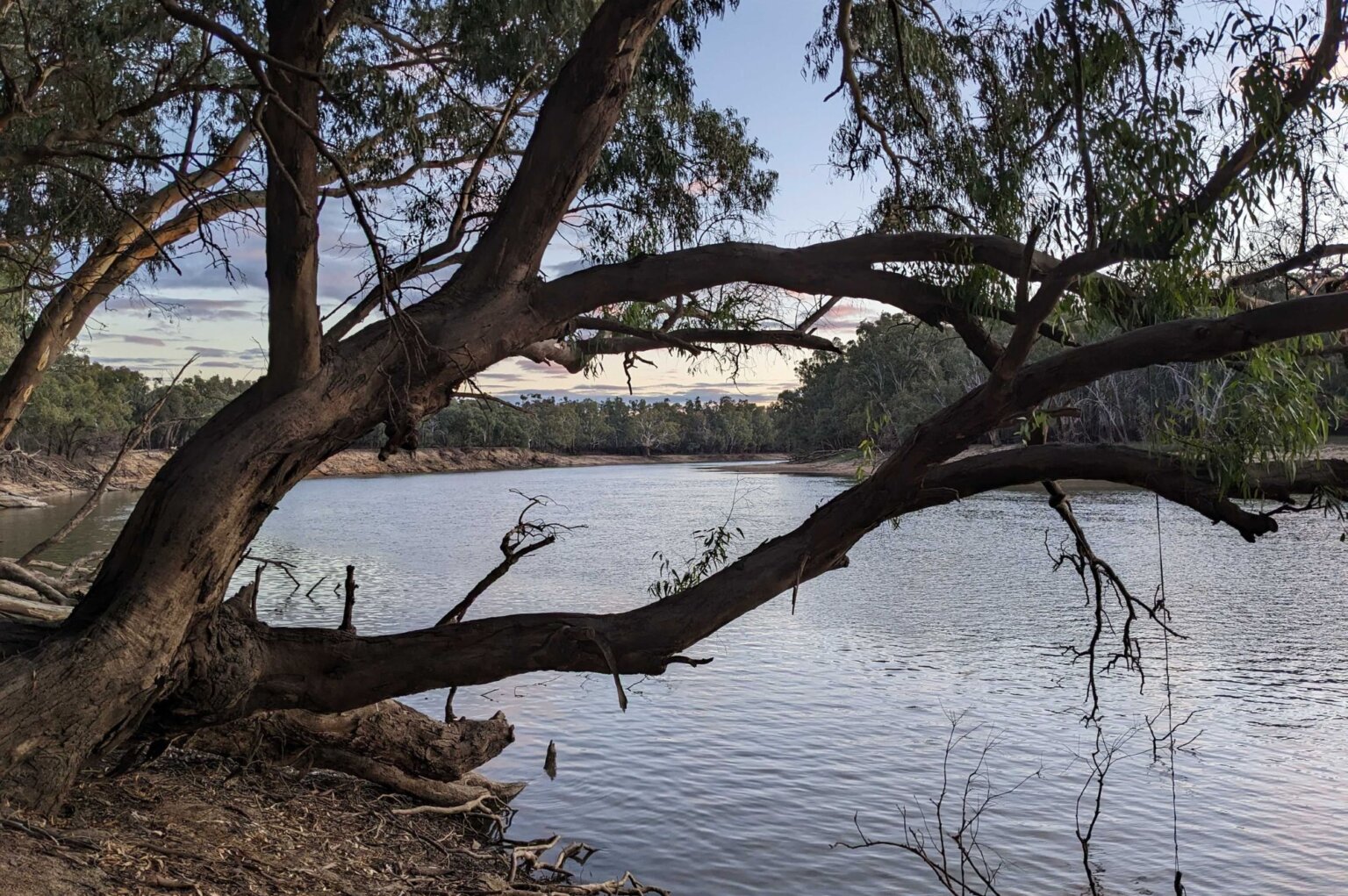 The mighty Murray - Environmental Justice Australia