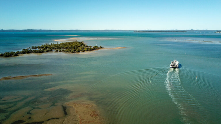 Win for community and environment with Toondah Harbour - Environmental ...