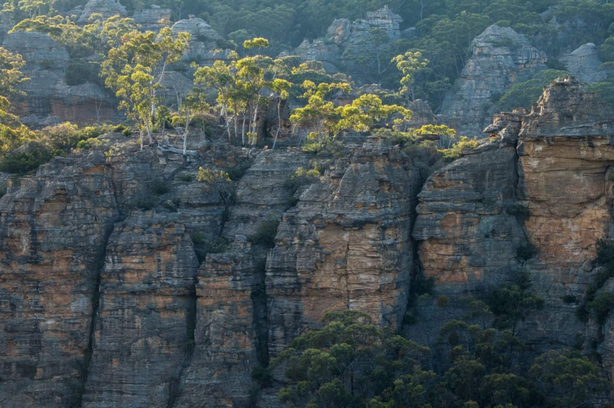 Submission on Centennial Coal’s water plans at Angus Place ...