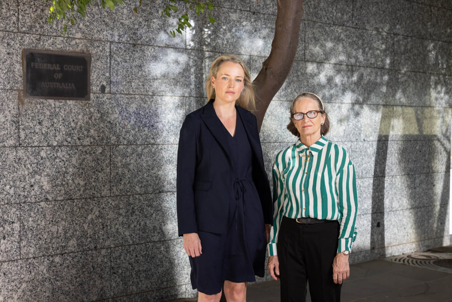 Update on the Living Wonders cases - Environmental Justice Australia