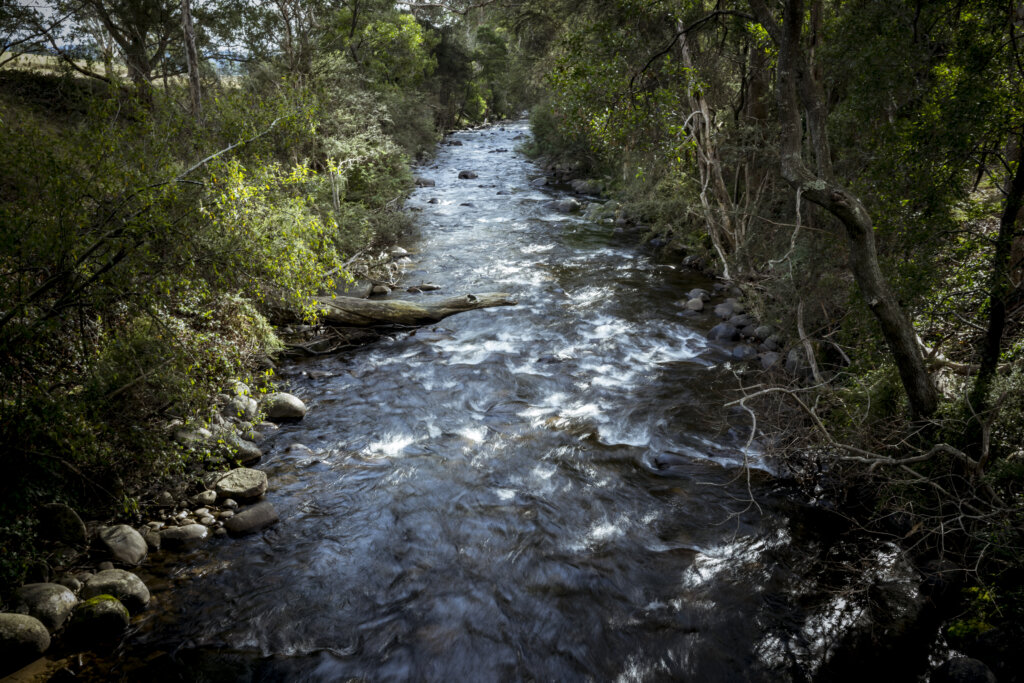 Environmental Justice Australia