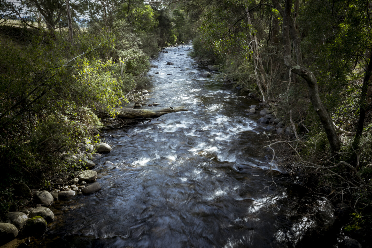 Environmental Justice Australia