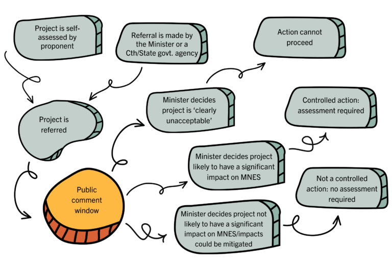 Explainer: How does the EPBC Act work? - Environmental Justice Australia