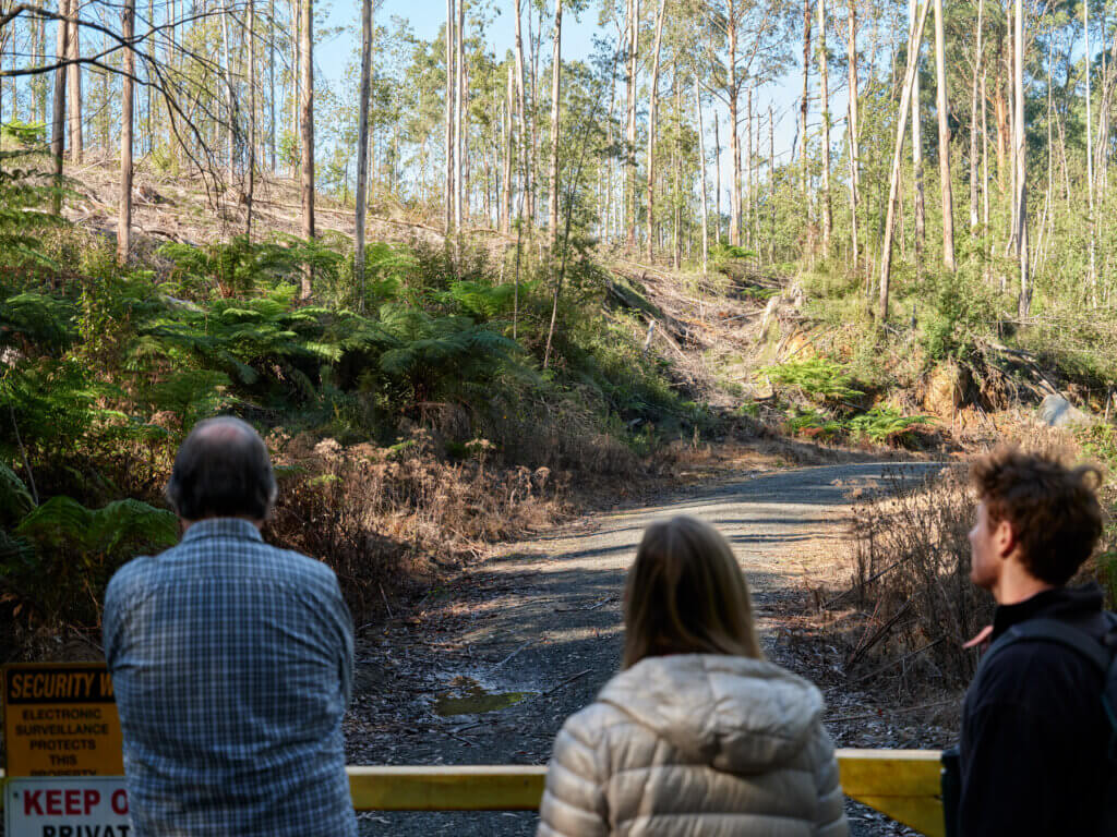 The zombie logging permit case - Environmental Justice Australia