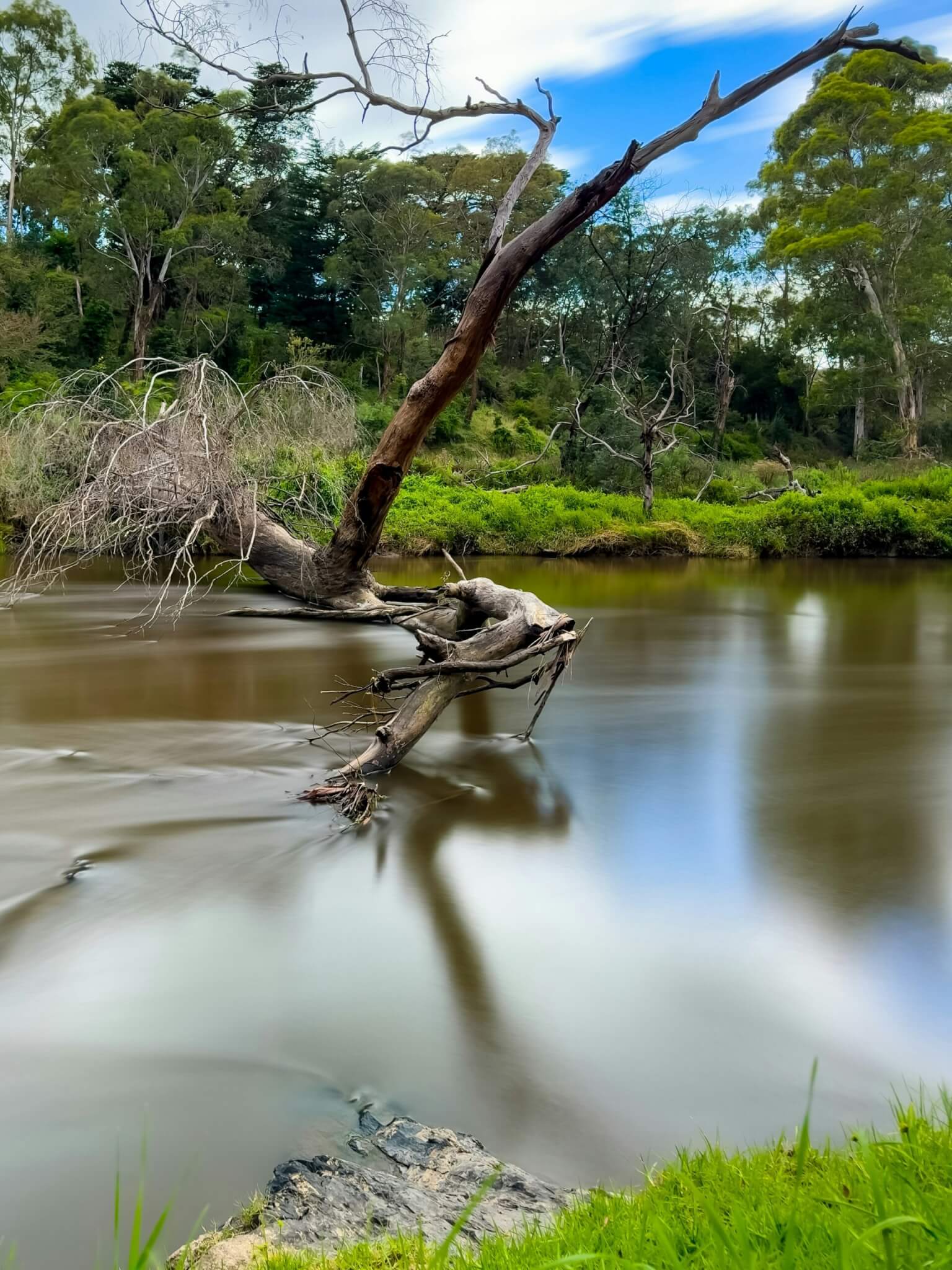 Why the law is starting to recognise rivers as living entities ...